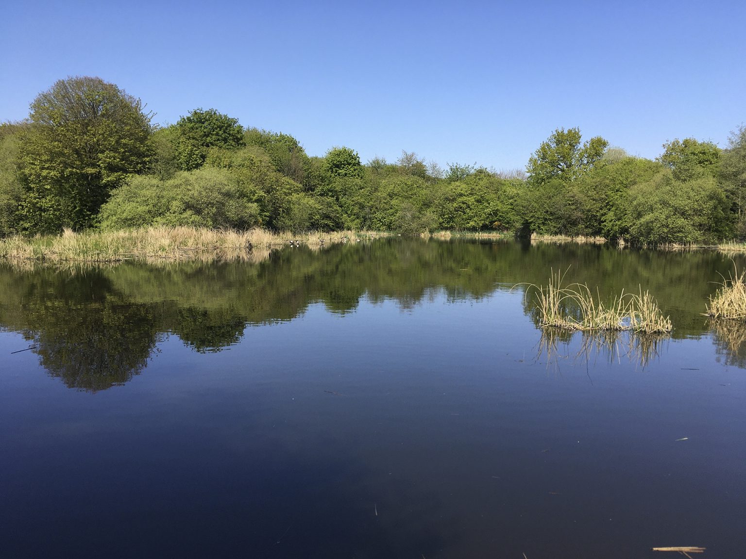 Local Photos - St John's Church Essington